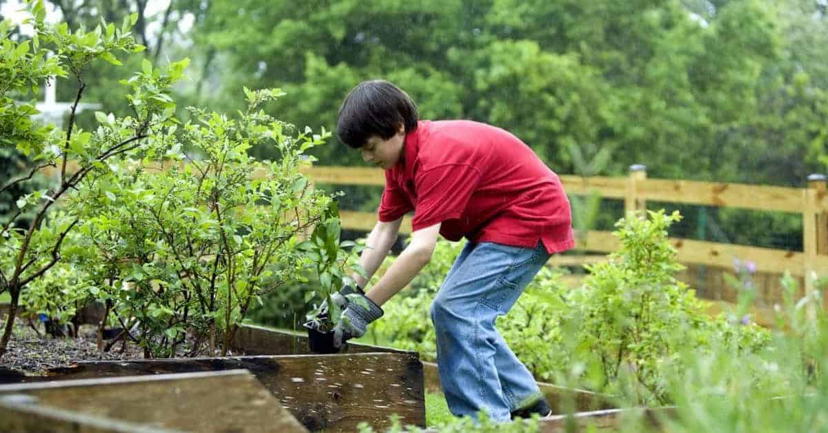 How to Save Energy and Make Your Home Eco-Friendly!