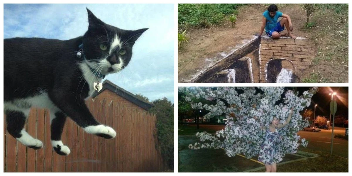 These Tricky Photos Will Blow Your Mind