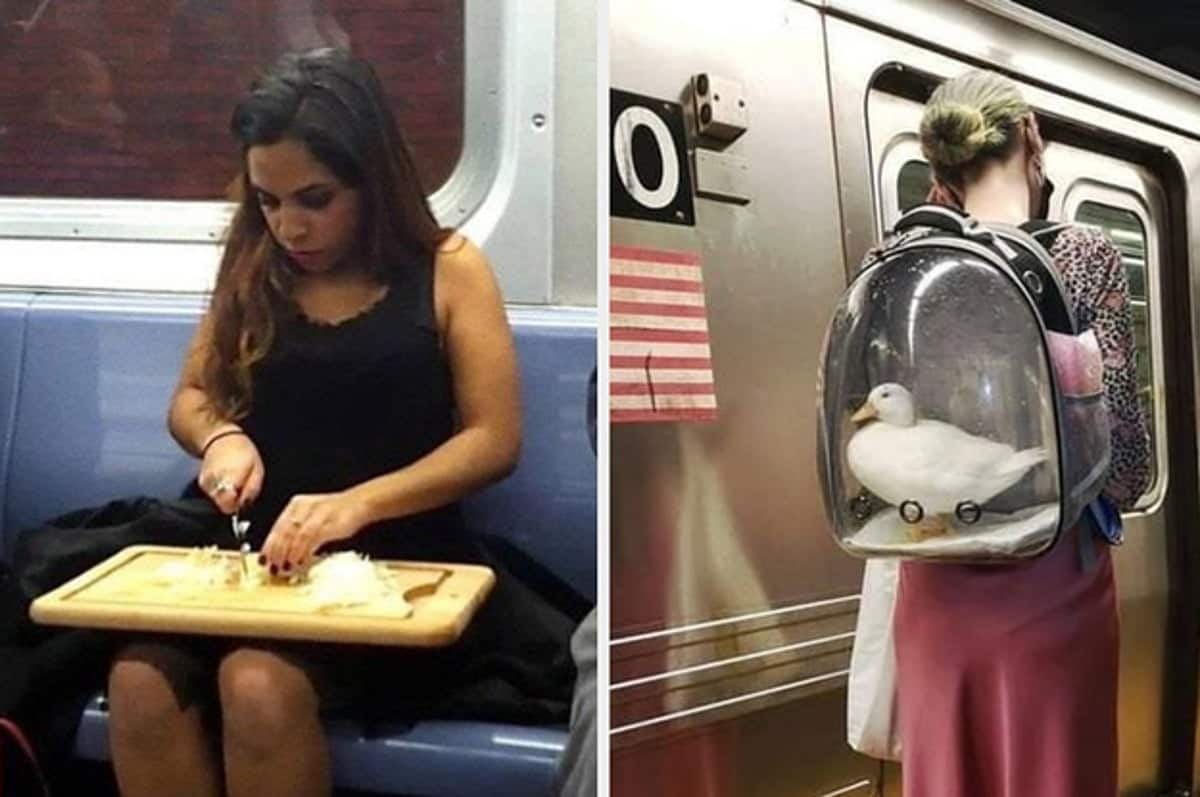 Wildest Commuters Moments Caught on Camera